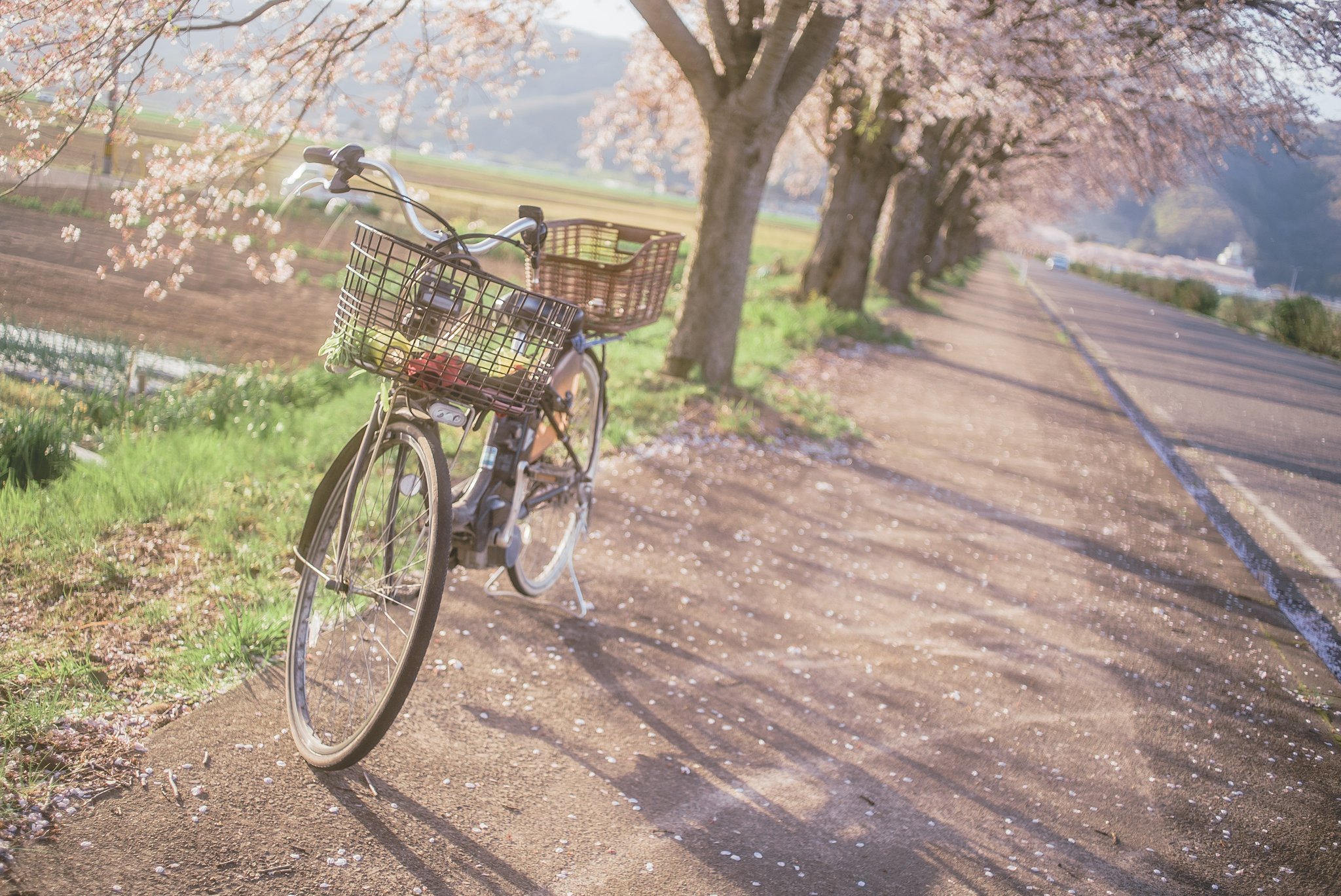 如新海誠動畫的風格攝影！日本攝影師Akine Coco拍下美到不可思議的日常街景 | 大人物 - 94935